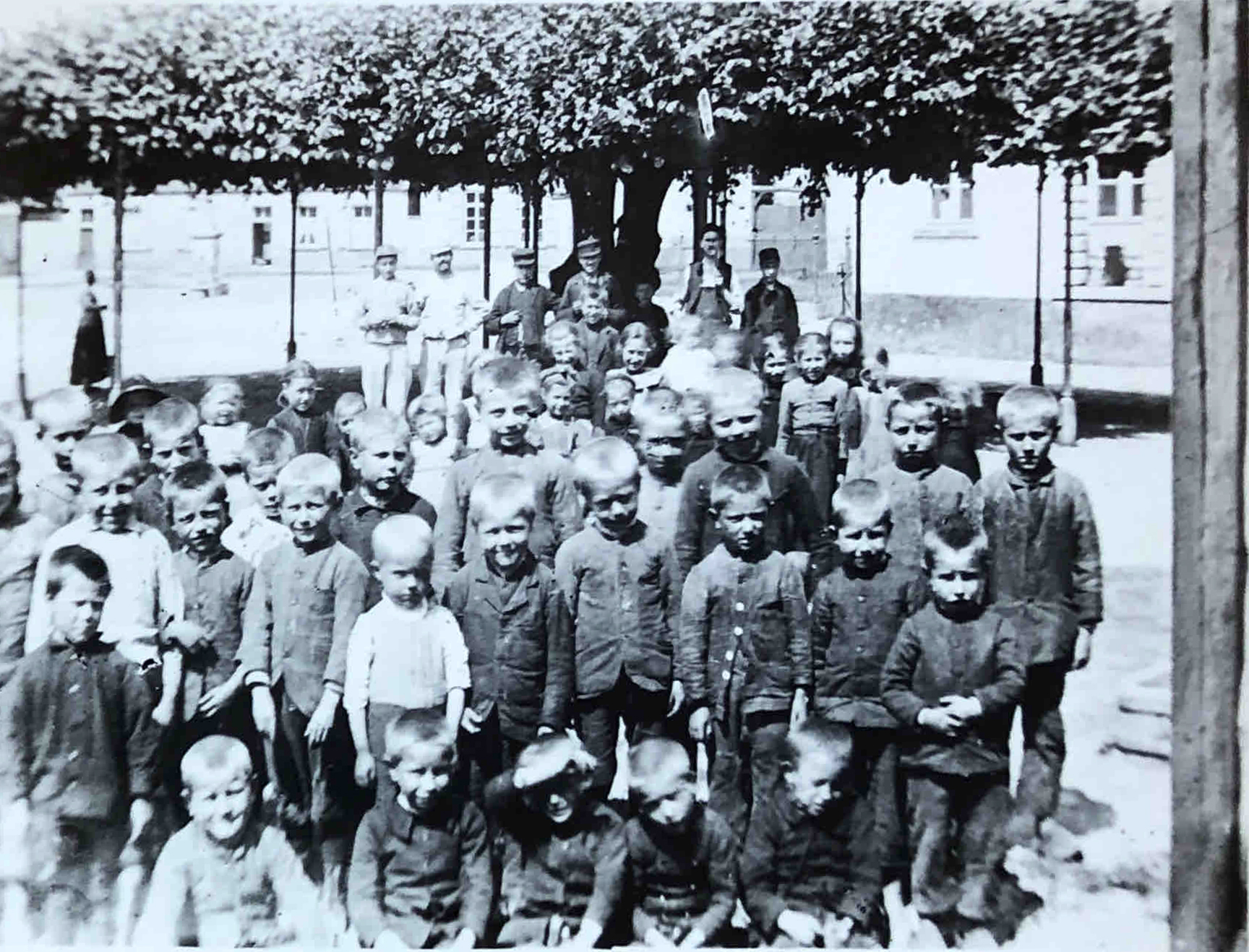 Lindeboom op het marktplein - Retiese Heemkundige Kring ‘Zeven Neten’ vzw